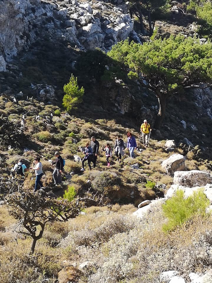 EXPLORE MOUNTAINS: ΠΕΖΟΠΟΡΙΑ ΣΤΟ ΔΑΣΟΣ ΤΗΣ ΘΡΥΠΤΗΣ