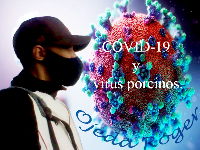 AUTOR DEL GLOGGER INSTITUCIONAL POR LAS TIC ~ U.E.N.B.B.R