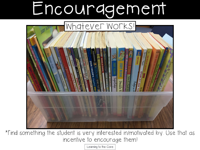 Encouraging Frustrated Readers - Literacy with Aylin Claahsen