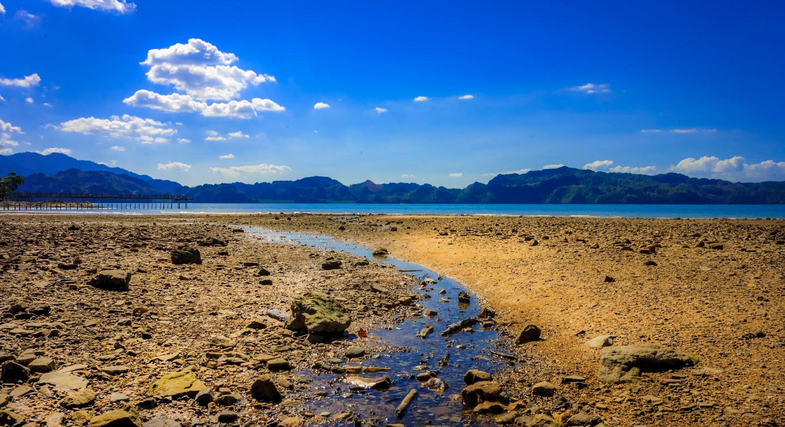 An Art Instinct of Saadon Saad