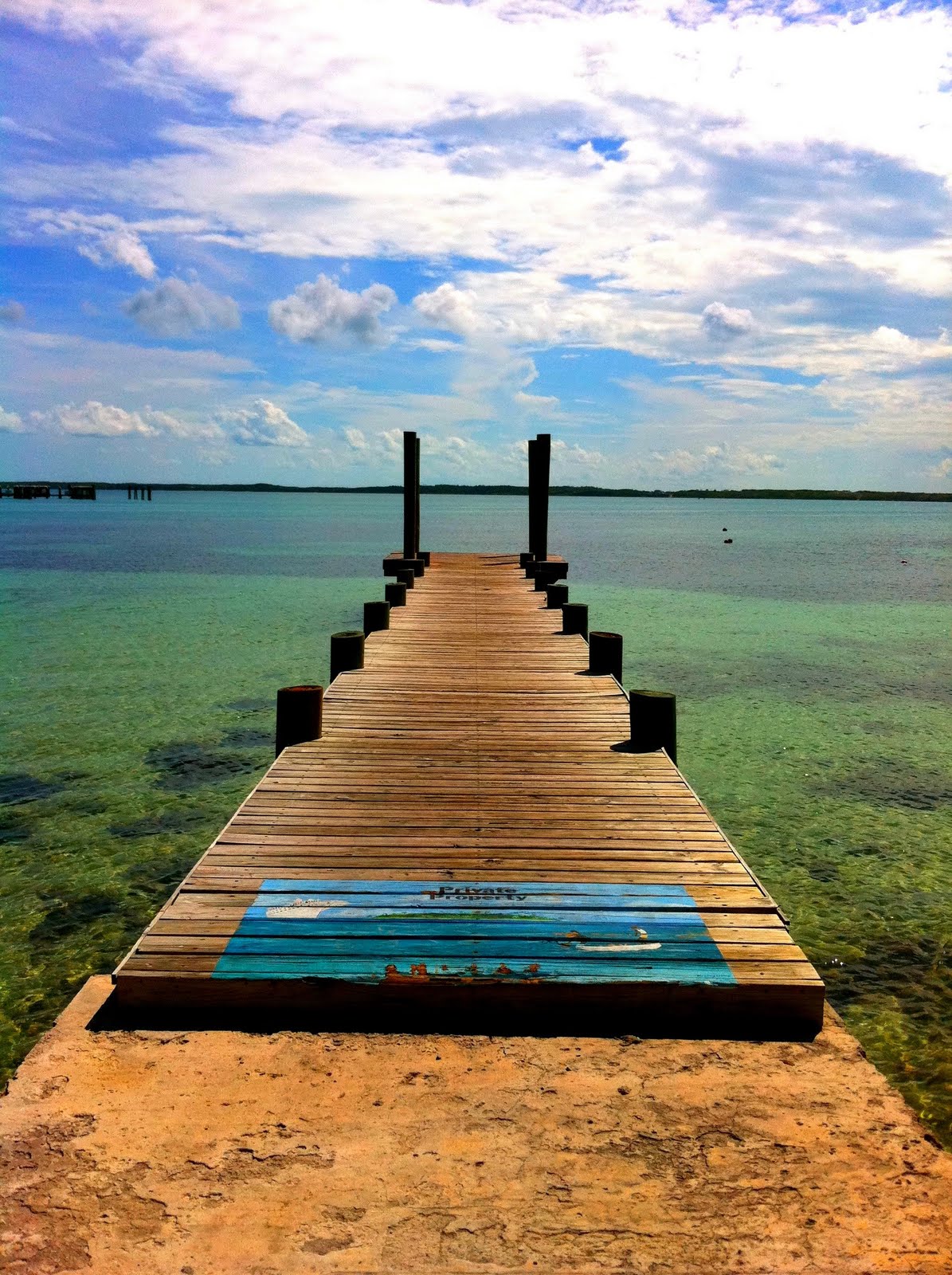 rock 'n roll recipes: Queen conch salad