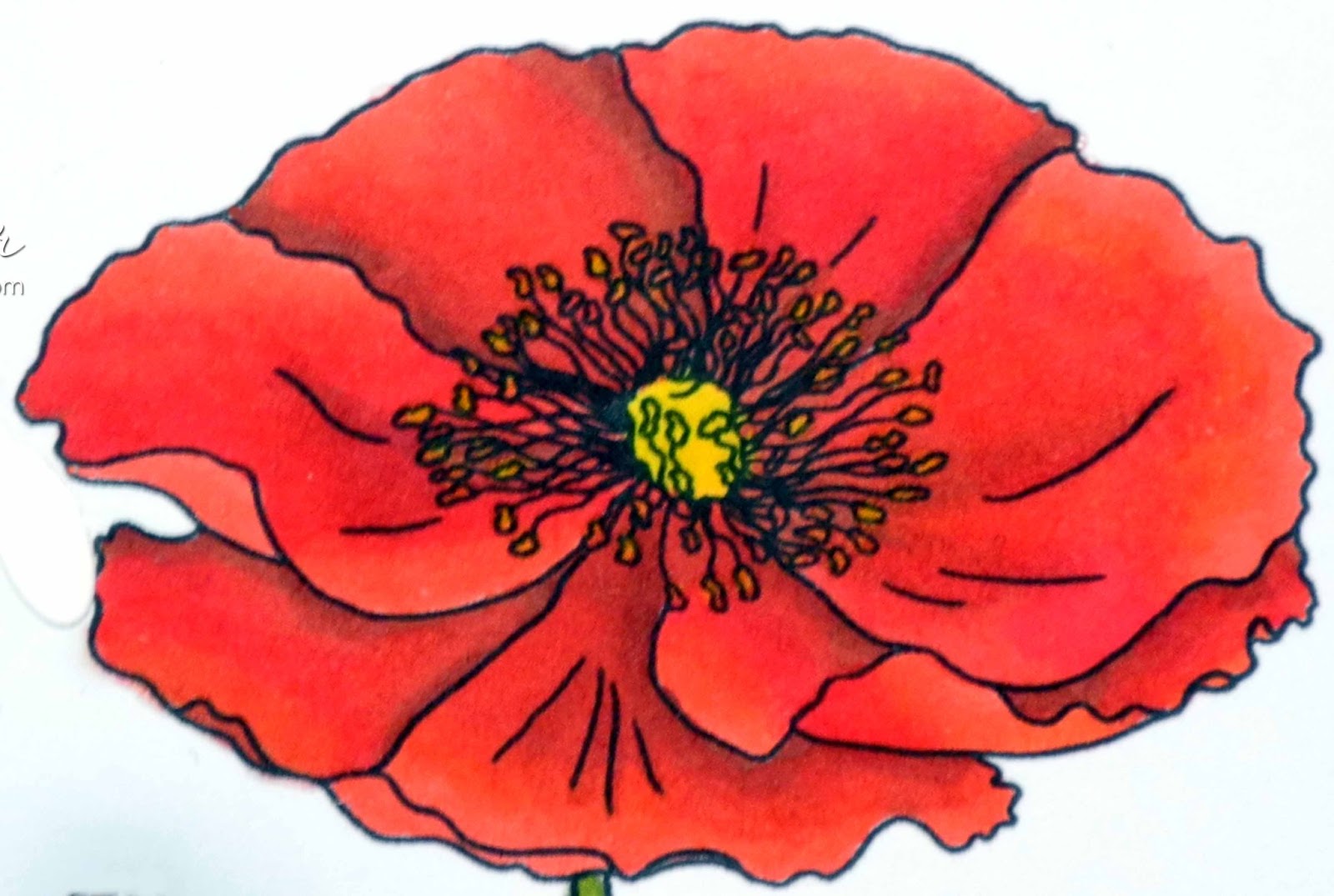 Julie's Blog - Catch Me Crafting: Janey's Digi Designs Icelandic Poppy
