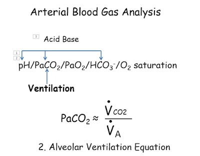Tutor's Notes: general, cardiovascular, respiratory and renal ...