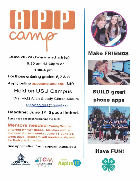 Bridger 2nd Grade Dual Language Immersion: District Flyers