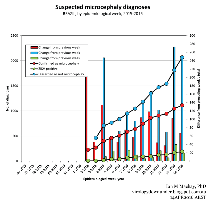 VDU's blog: Brazil's microcephaly and CNS disturbance (M&CD) monitoring ...