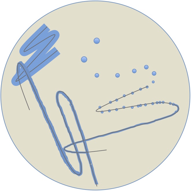 RRResearch: A refresher class on streaking for single colonies