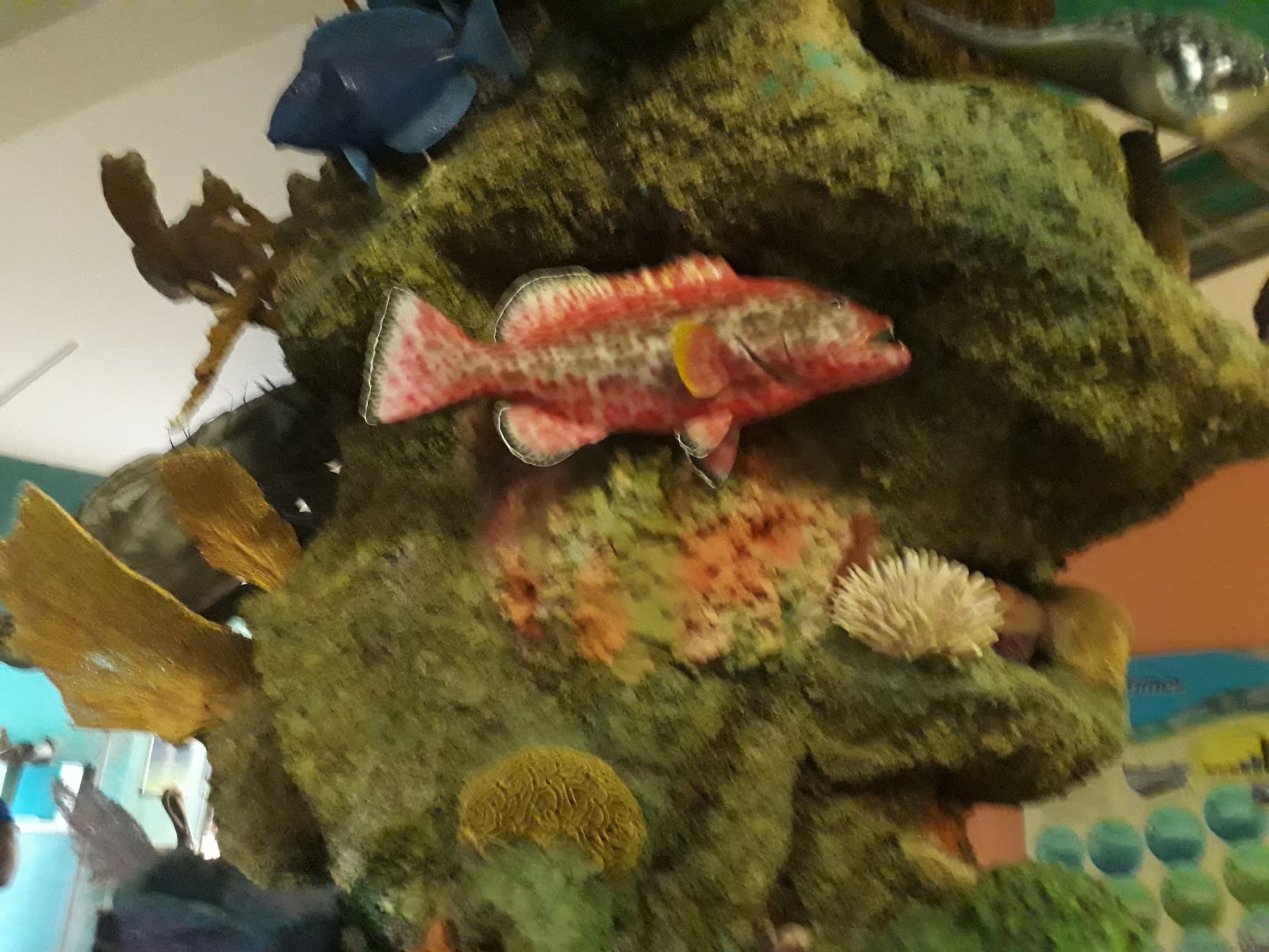 Miss Forbes Classroom: GRADE 4 INTERVENTION OSETA JOLLY PRIMARY SCHOOL ...