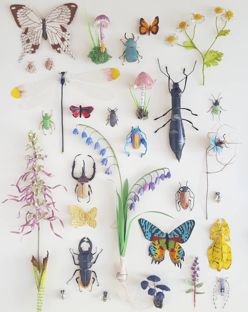 the art room plant: Kate Kato I