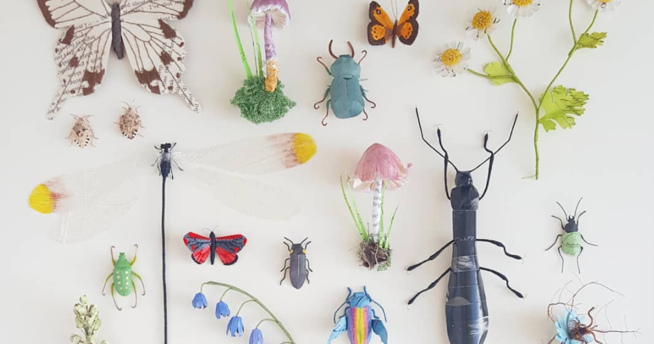 the art room plant: Kate Kato I