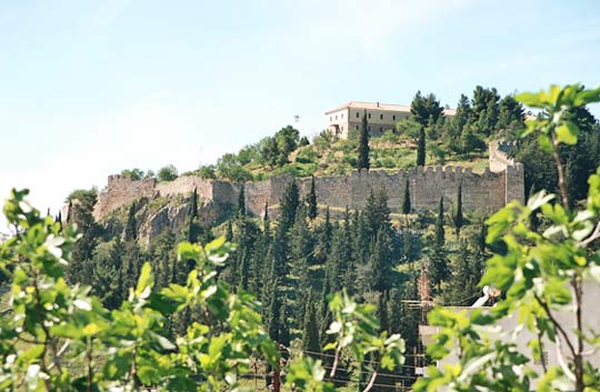 ΨΗΓΜΑΤΑ ΑΠΟ ΤΗΝ ΕΛΛΗΝΙΚΗ ΙΣΤΟΡΙΑ: ΚΑΣΤΡΟ ΛΑΜΙΑΣ
