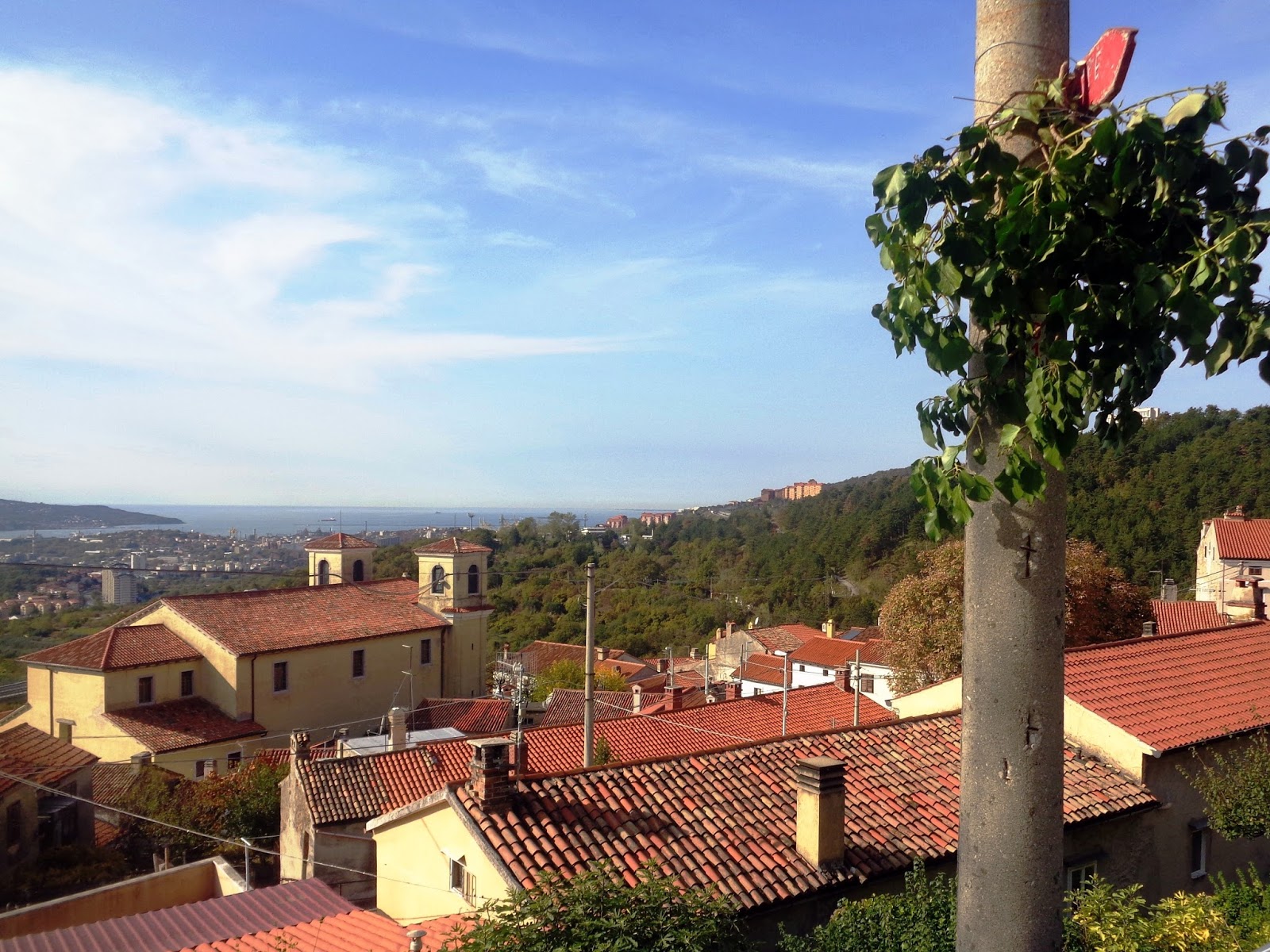 SCHEDE DELLE ESCURSIONI NEI DINTORNI DI TRIESTE: Scheda *** OSMIZZA ...