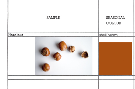 Planet Sam: Colour from the season - Cob Nut brown