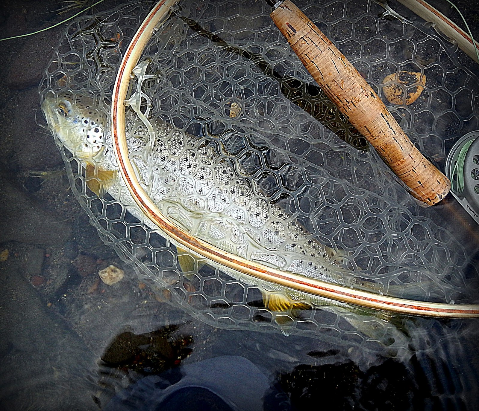 Jump Creek Flies Blog