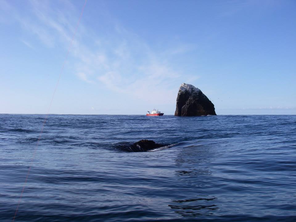 Scottish Islands Explorer: Resourceful on Rockall