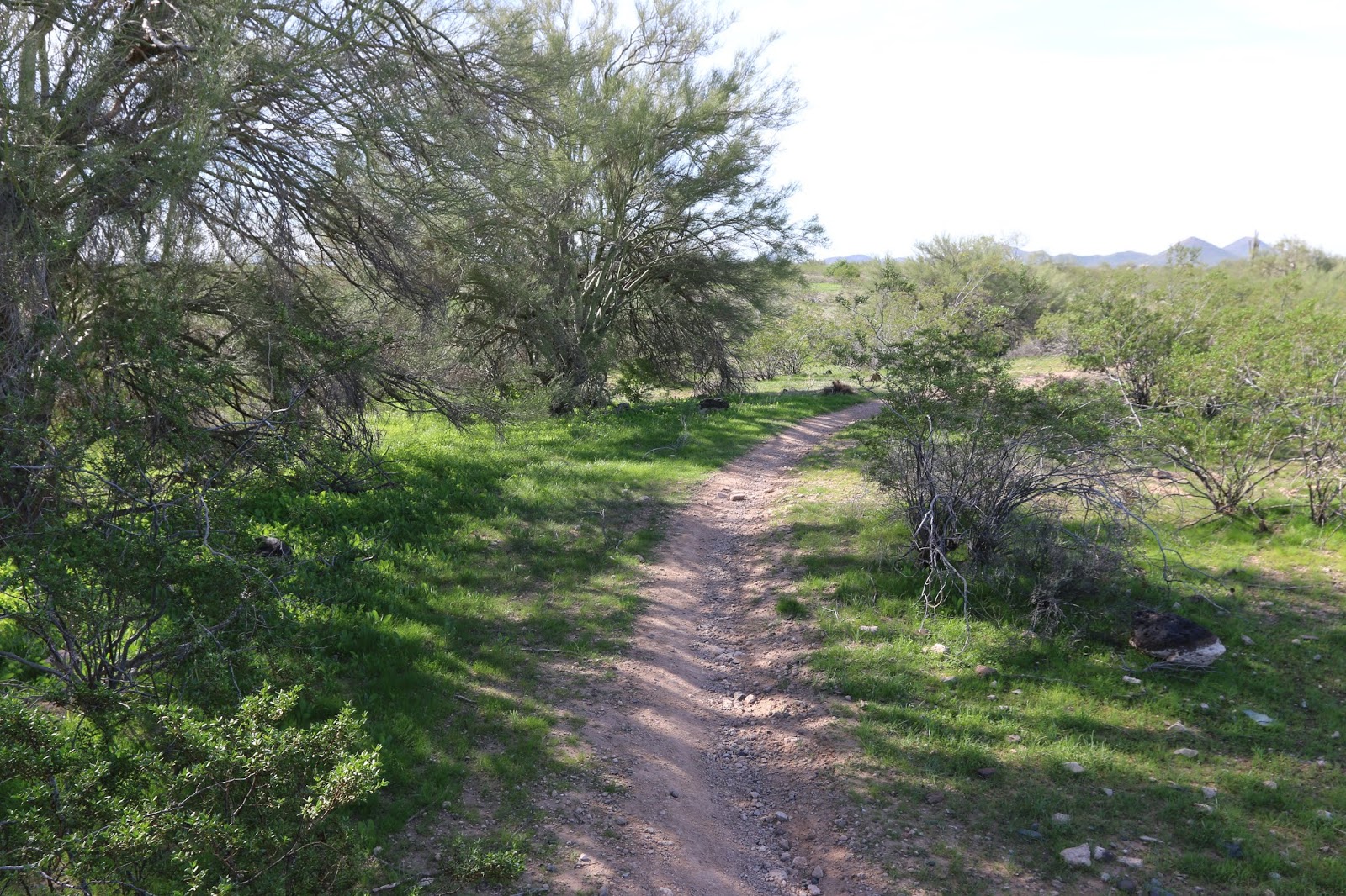 gjhikes.com: Cliff Walk