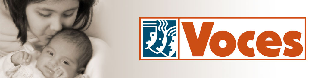 One Southwest Michigan, One Community: Voces establishes itself in ...