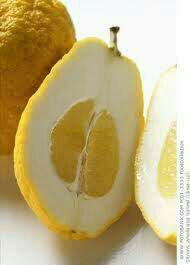 Apa Itu Buah Utrujah dan Manfaatnya ? - Terapi Jarum