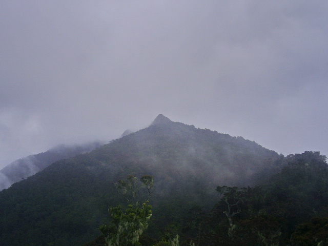 Bentangan Jejak Rimba Celebes "Tolangi - Balease" | Muhammad Dagri Nizar