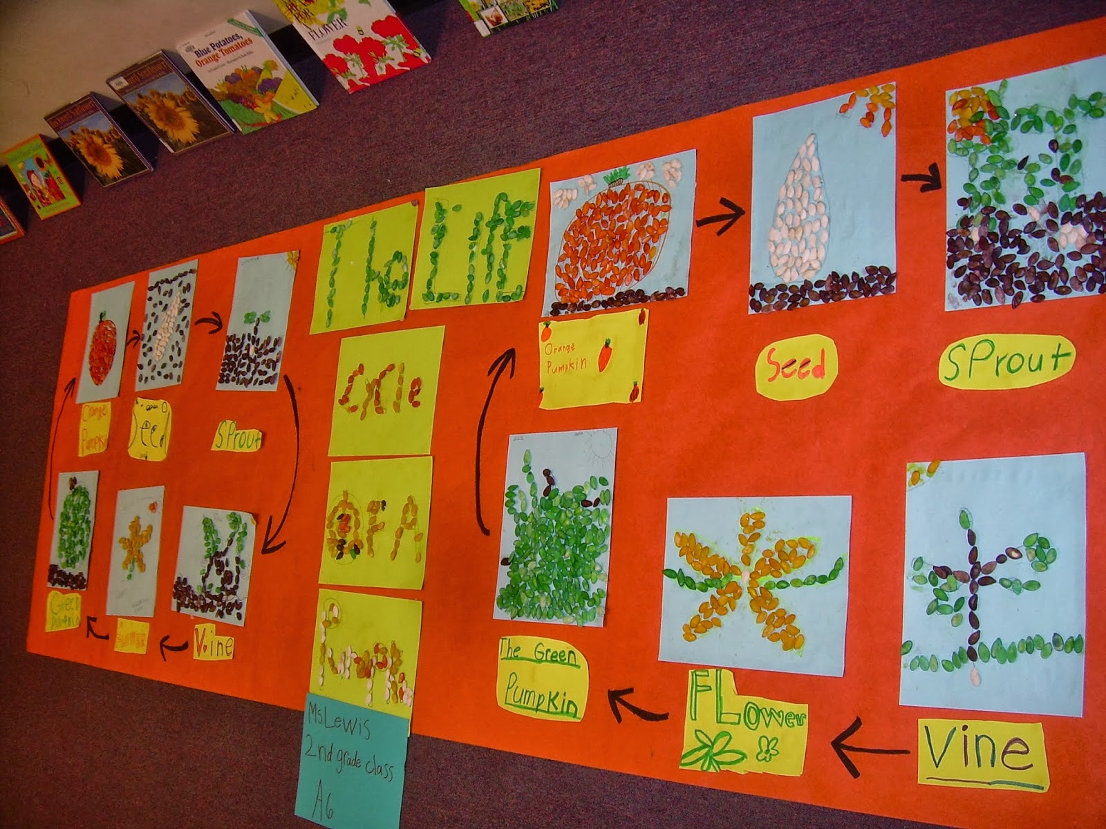 Ms. Lewis' 2nd grade class: Cycles in Nature