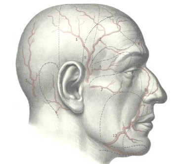 EL JUEGO DE LA TABA: Sien