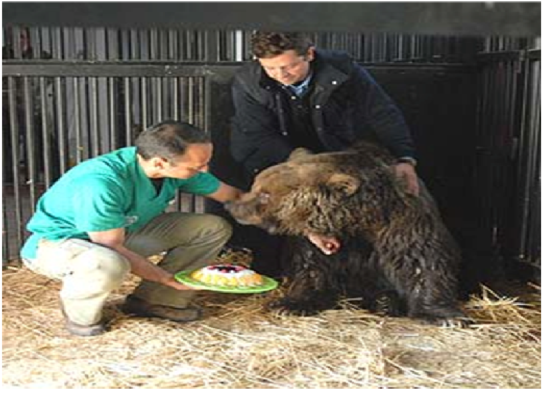 Life of Pi -part 1: MAIN CHARACTERS OF THE STORY: