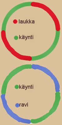 Ratsastuskoulublogi: Rinkeli