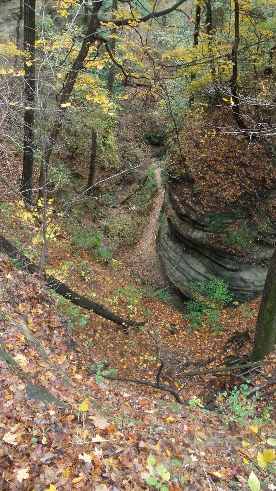 Hike Starved Rock: St. Louis, Sac, Kickapoo and Aurora Canyons