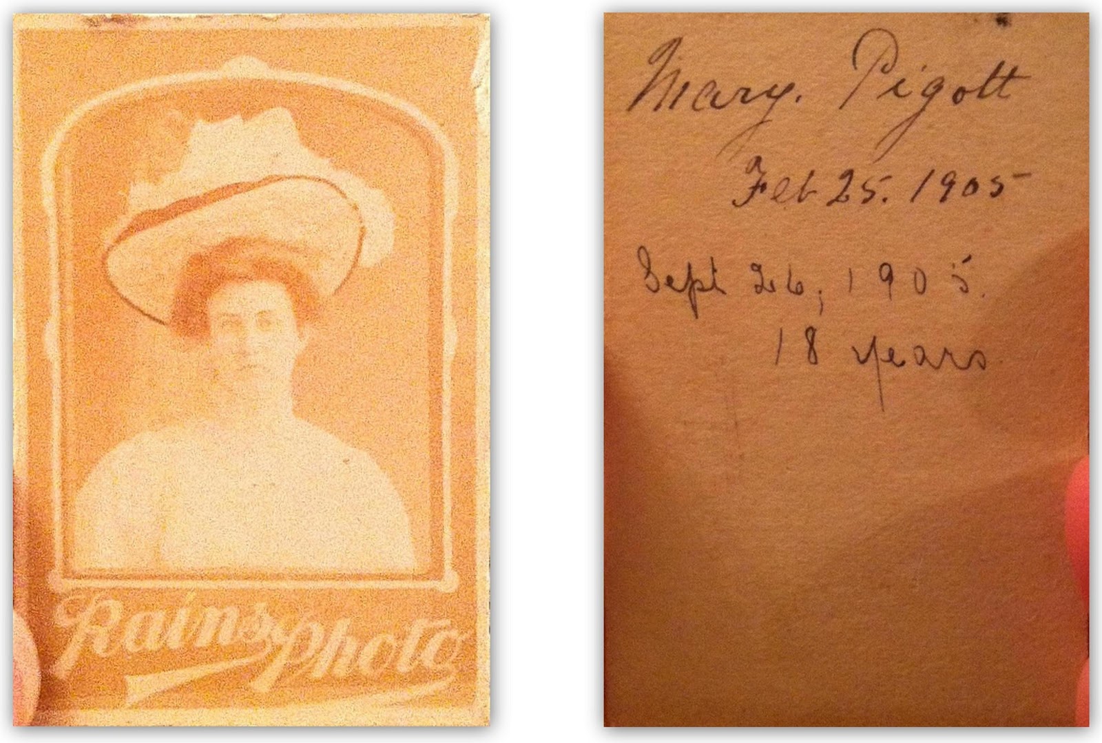 THE PIGOTT FAMILY OF QUEEN'S COUNTY, IRELAND; SOME ANCESTRAL ...