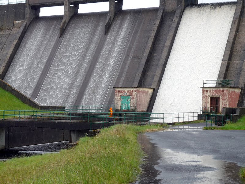 Stayin' Alive: Slieveanorra Forest and Altnahinch Reservoir