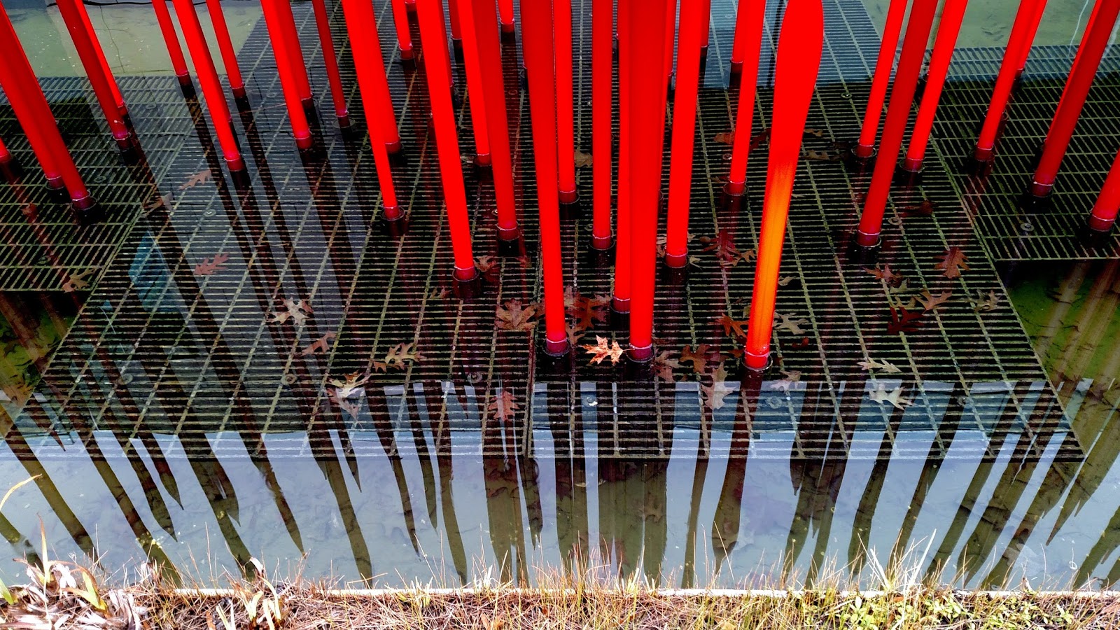 The Mathematical Tourist: Red Reeds