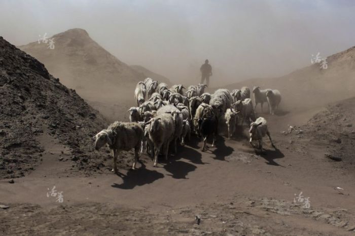 A Look Inside The Life Of A Miner (18 Pics) | Women System