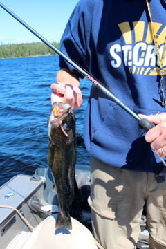 Rainy Lake Houseboats Fishing Report: The St. Croix Rod Family joins us ...