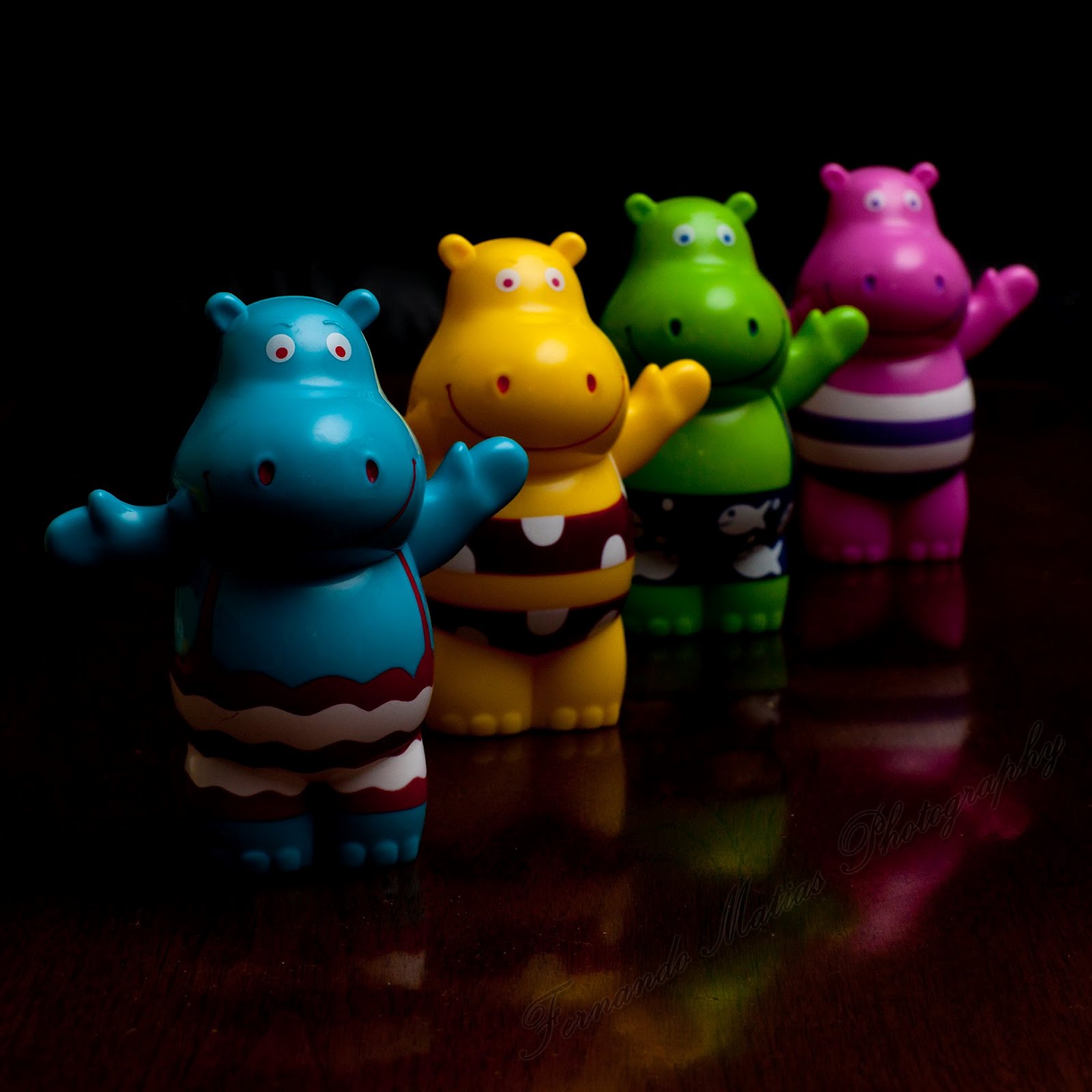 Fernando Matias Photography - Ottawa Ontario - Ottawa Wedding ...