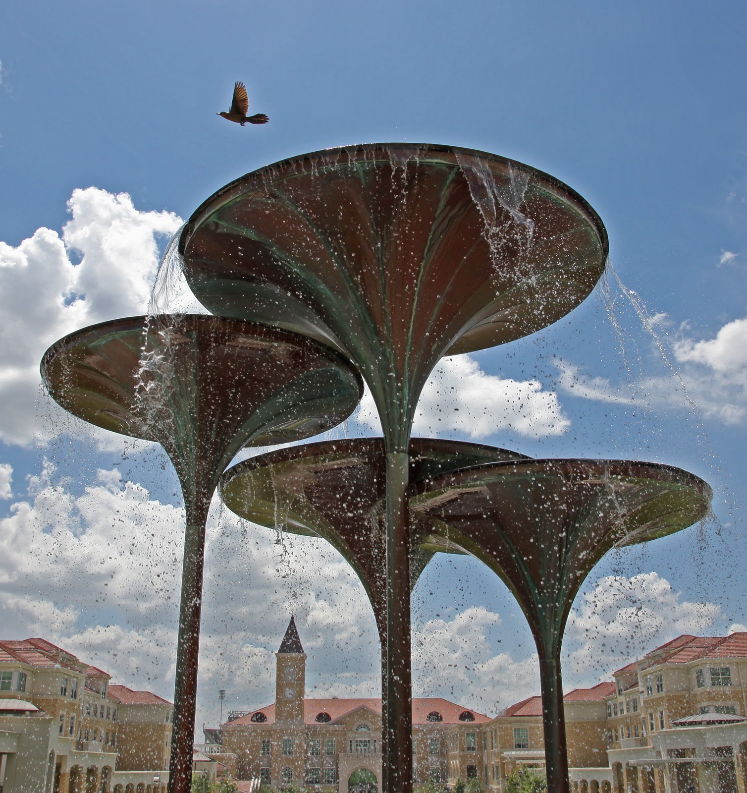 Roland Mueller's Imagery