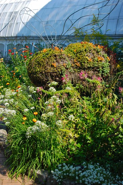 Wife, Mother, Gardener: Kids' trip to Phipps Conservatory