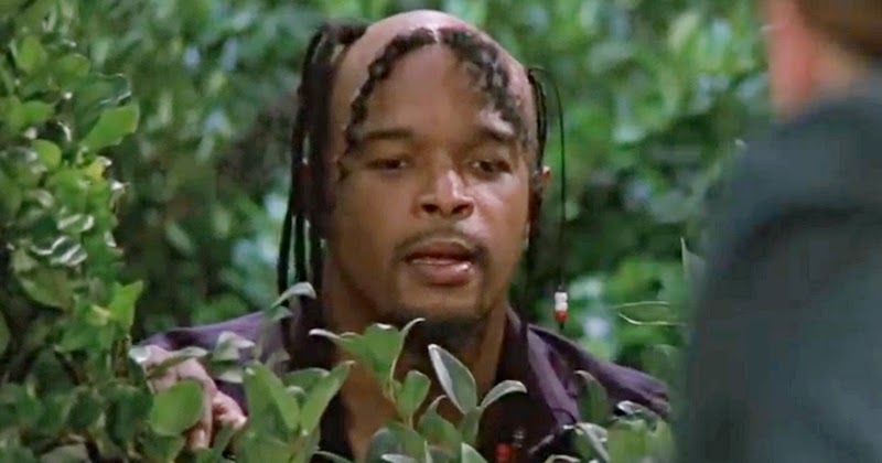 Michael Kyle falando com os cabelos - Videos Legais da Net - Engraçados ...