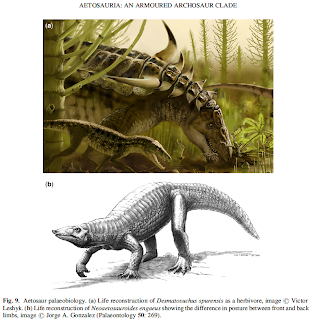 The Dragon's Tales: Aetosaur Awesomeness!