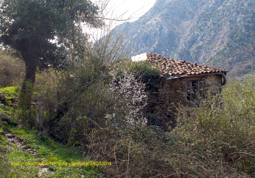 actimon: ΤΟ ΠΑΡΑΤΗΜΕΝΟ ΣΠΙΤΙ ΚΑΙ Η ΚΟΡΟΜΗΛΙΑ