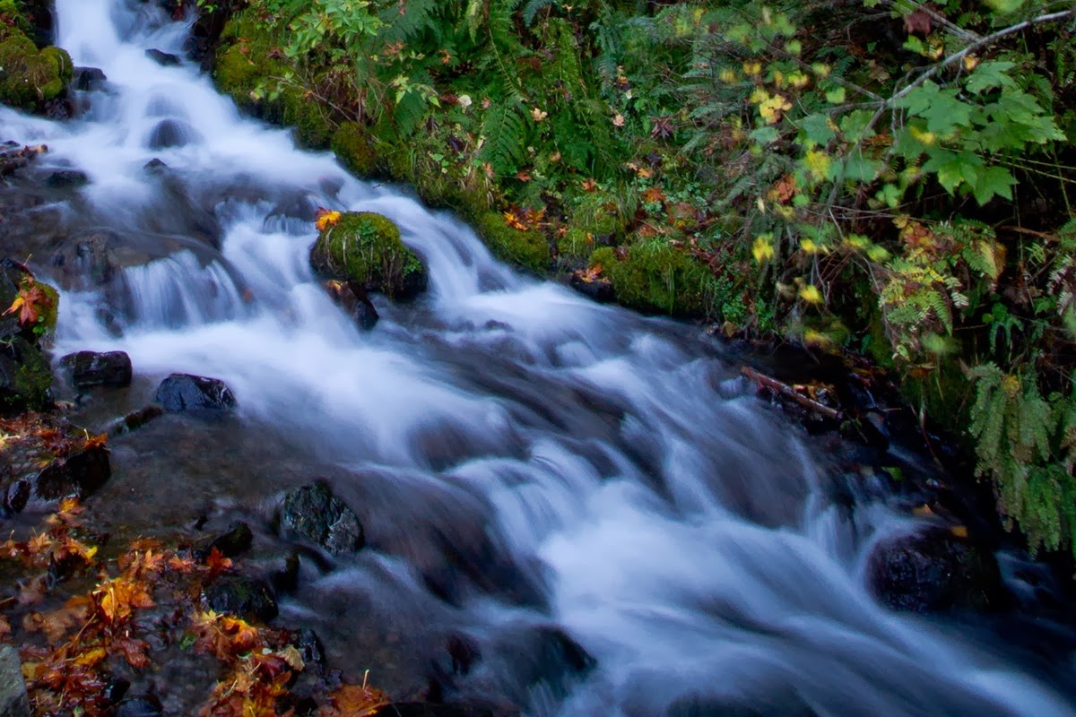 Ogden Camera Club: 2013
