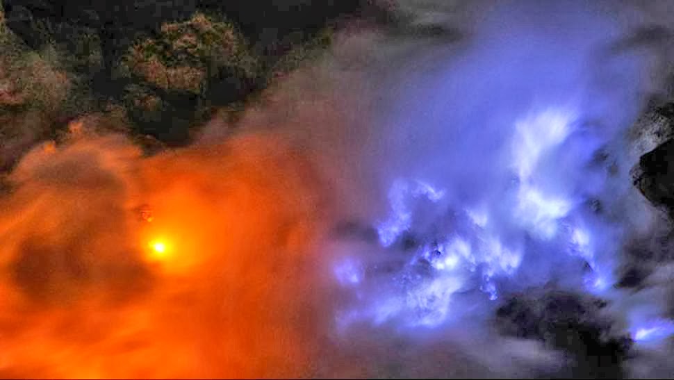 Fauna Urbana Villa María: Increíbles imágenes de la lava azul del ...