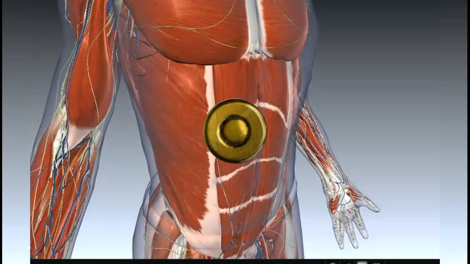 BALISTICA ~ Soy Criminalista