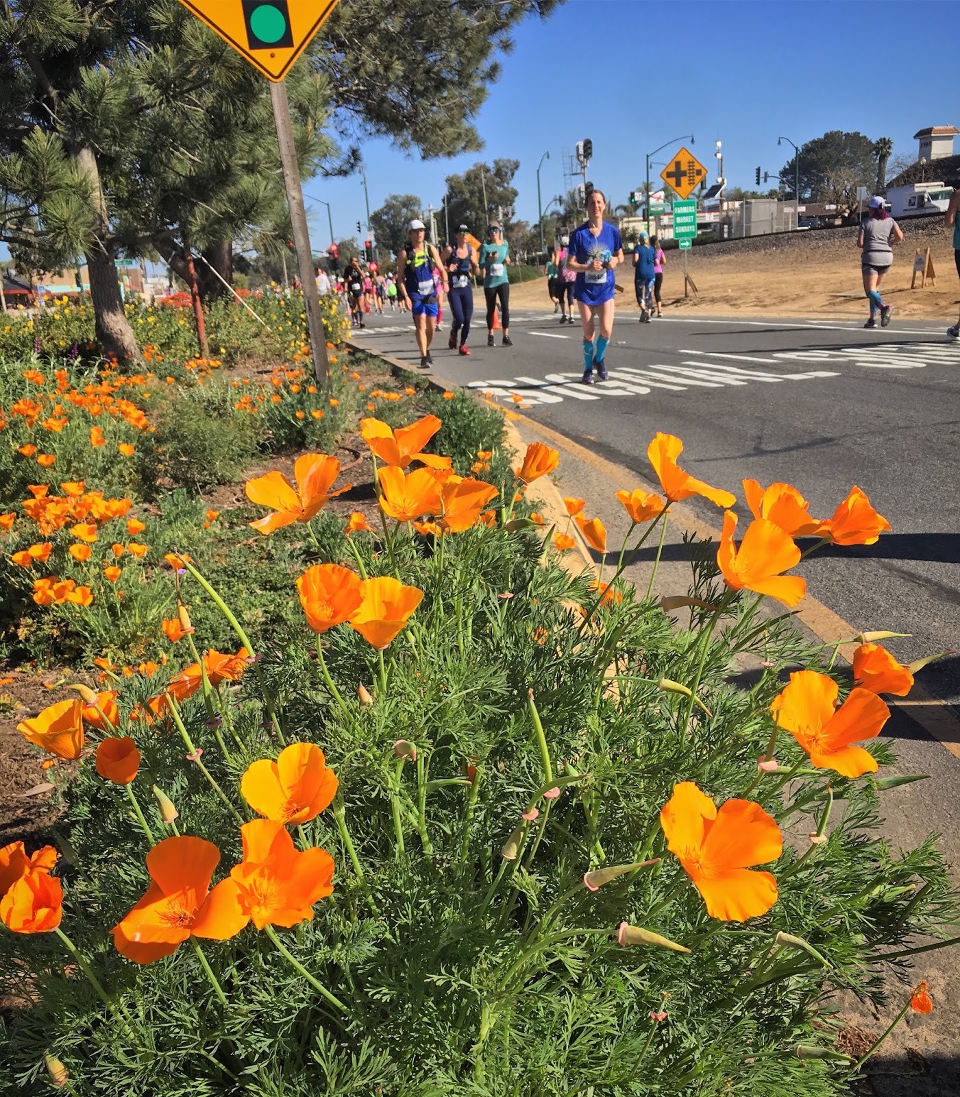 Carlee McDot: Encinitas Half Marathon Race Recap
