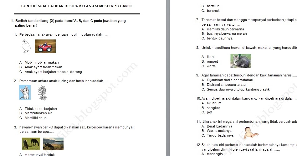 Soal Latihan UTS IPA Kelas 3 Semester I ~ Soal Jawaban Soal Latihan UTS IPA Kelas 3 Semester I ~ Soal Jawaban