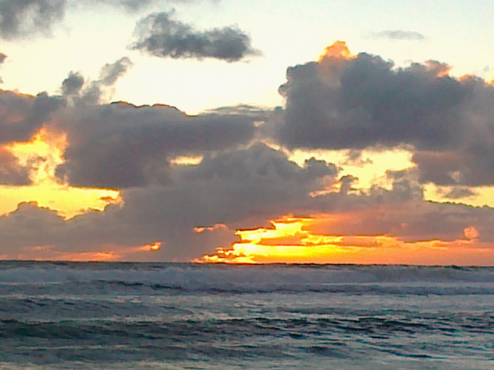 A day in the life: Some peaceful scenes