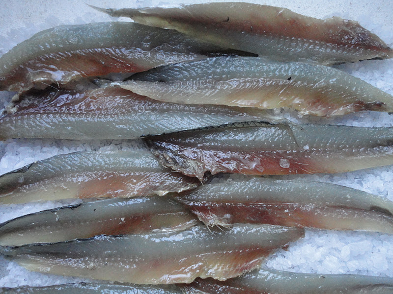 COCER & CANTAR : Bocartes en semi-salazón