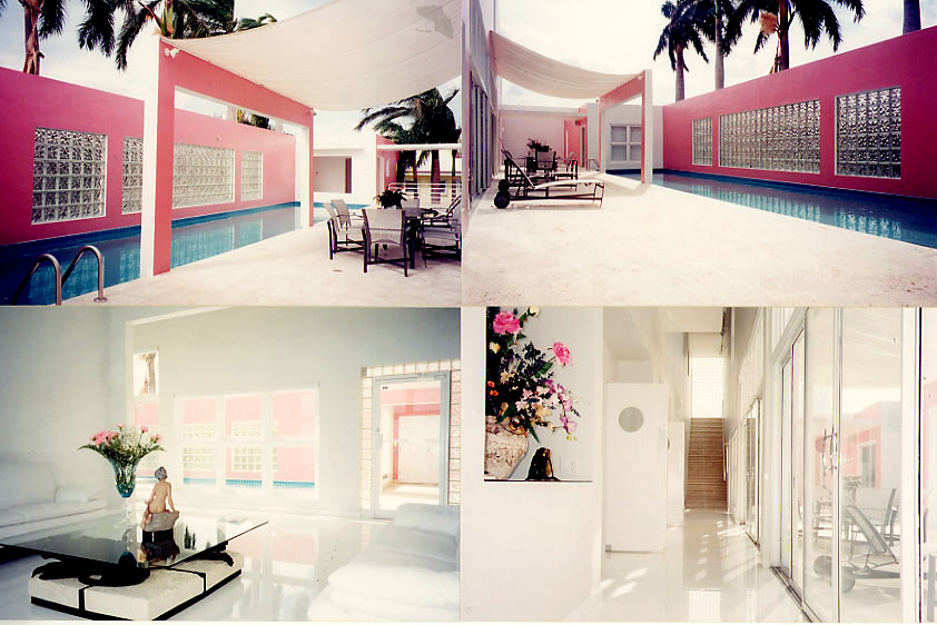 The Designer's Muse: The Pink House