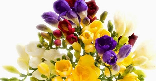 Despre toti si despre toate, articole de interes personal si ...