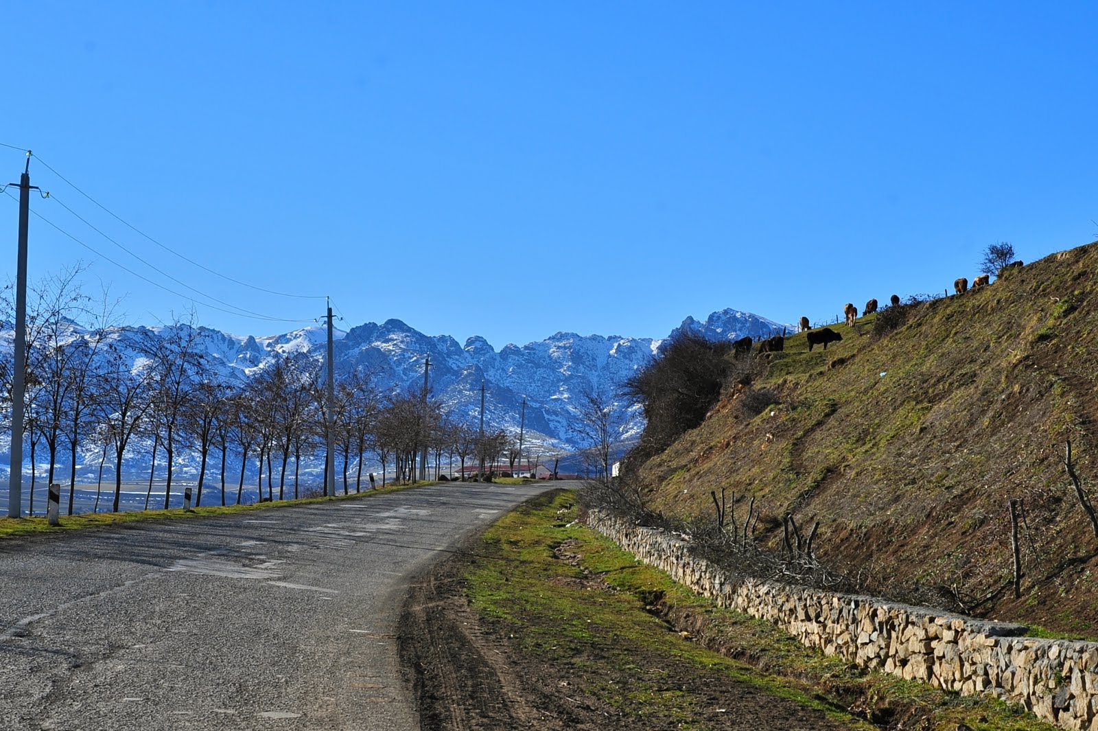 Merlin and Rebecca: A Talysh Retreat