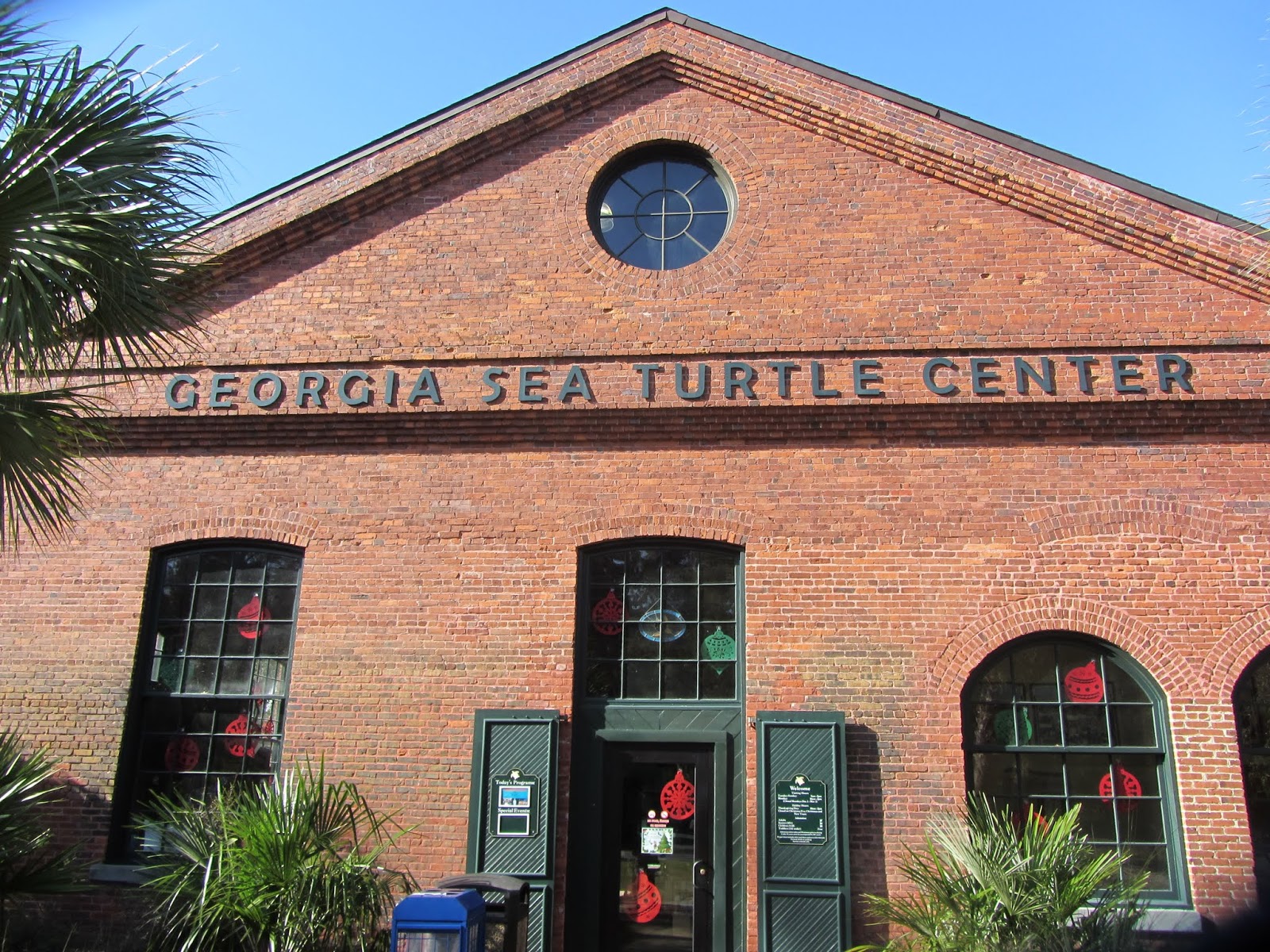 The Chatty Housewife: The Georgia Sea Turtle Center and Jekyll Island