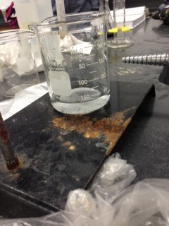 Chemistry 2013: Foul Water Lab